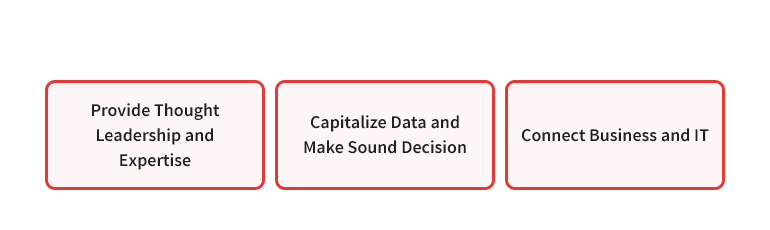 The role of a Chief Analytics Officer in an organization